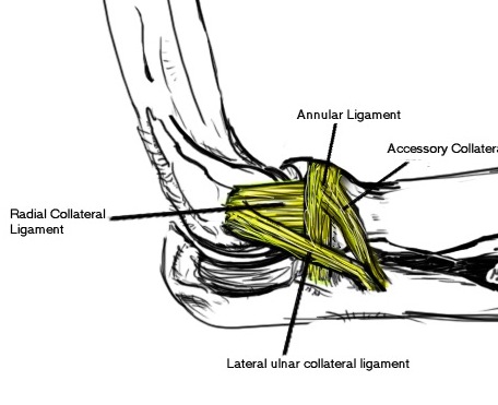 Simple elbow dislocation | The Bone School